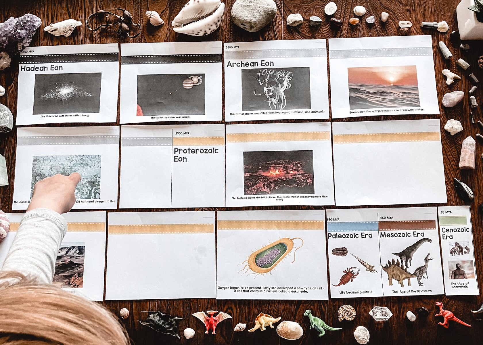 Montessori Clock of Eras timeline of life (cosmic) – montessorikiwi