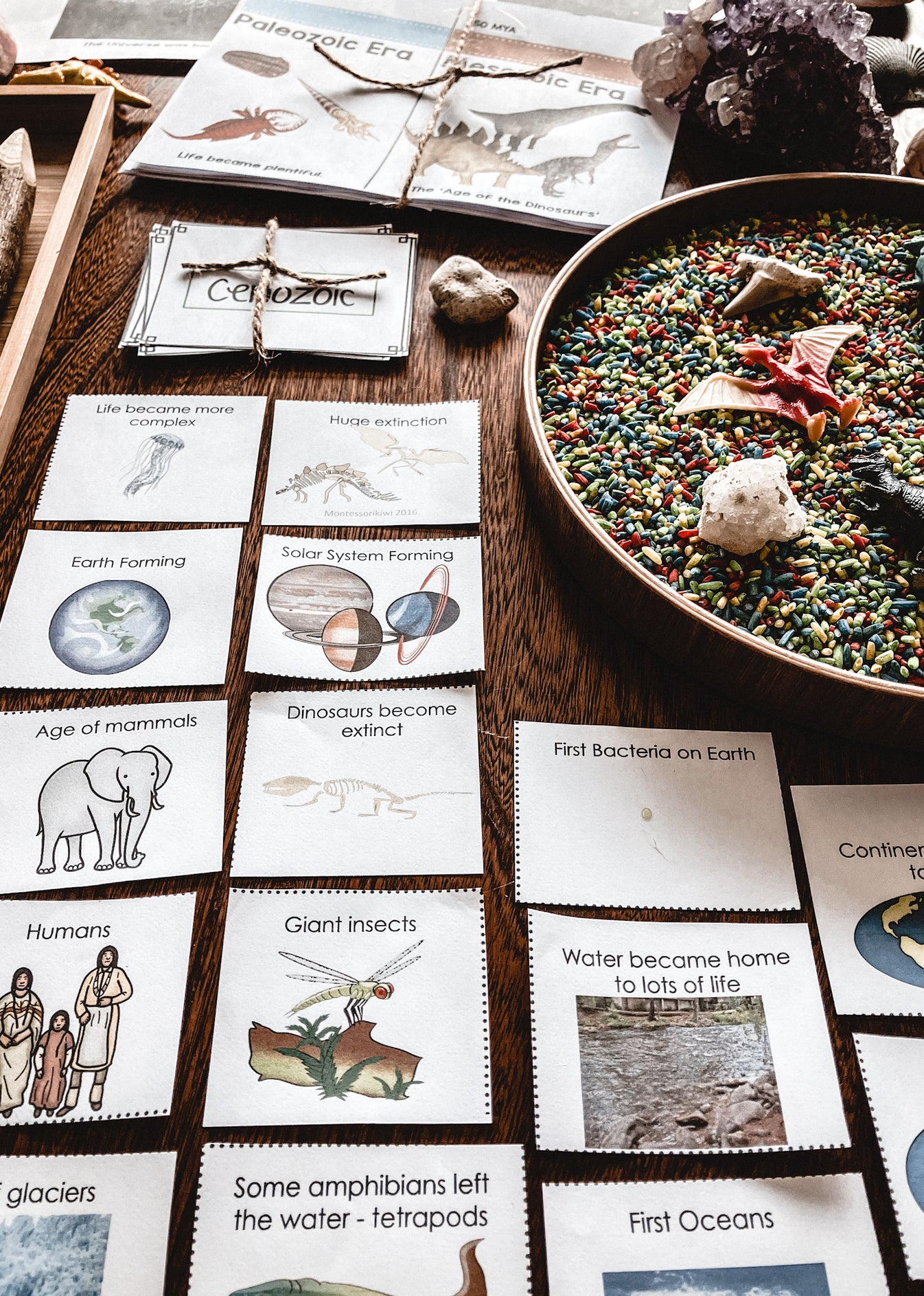 Montessori Clock of Eras Bundle (Timeline of Life & Earth History ...