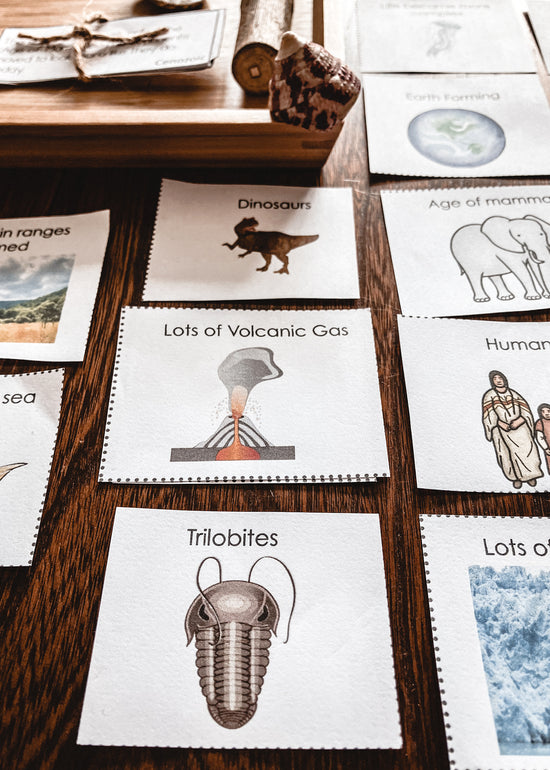 Cosmic Bundle – montessorikiwi