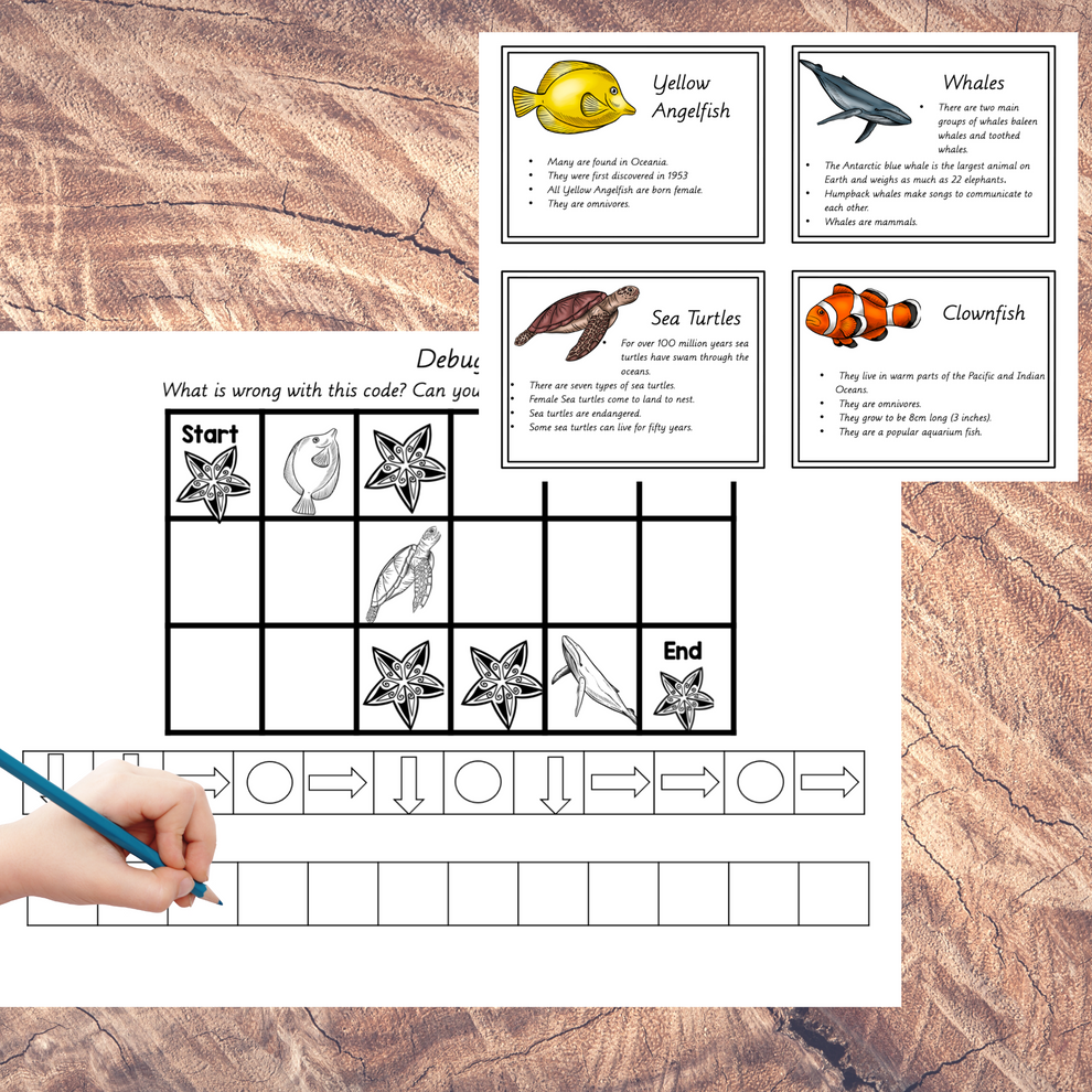 Unplugged coding - ocean themed suitable for Montessori – montessorikiwi
