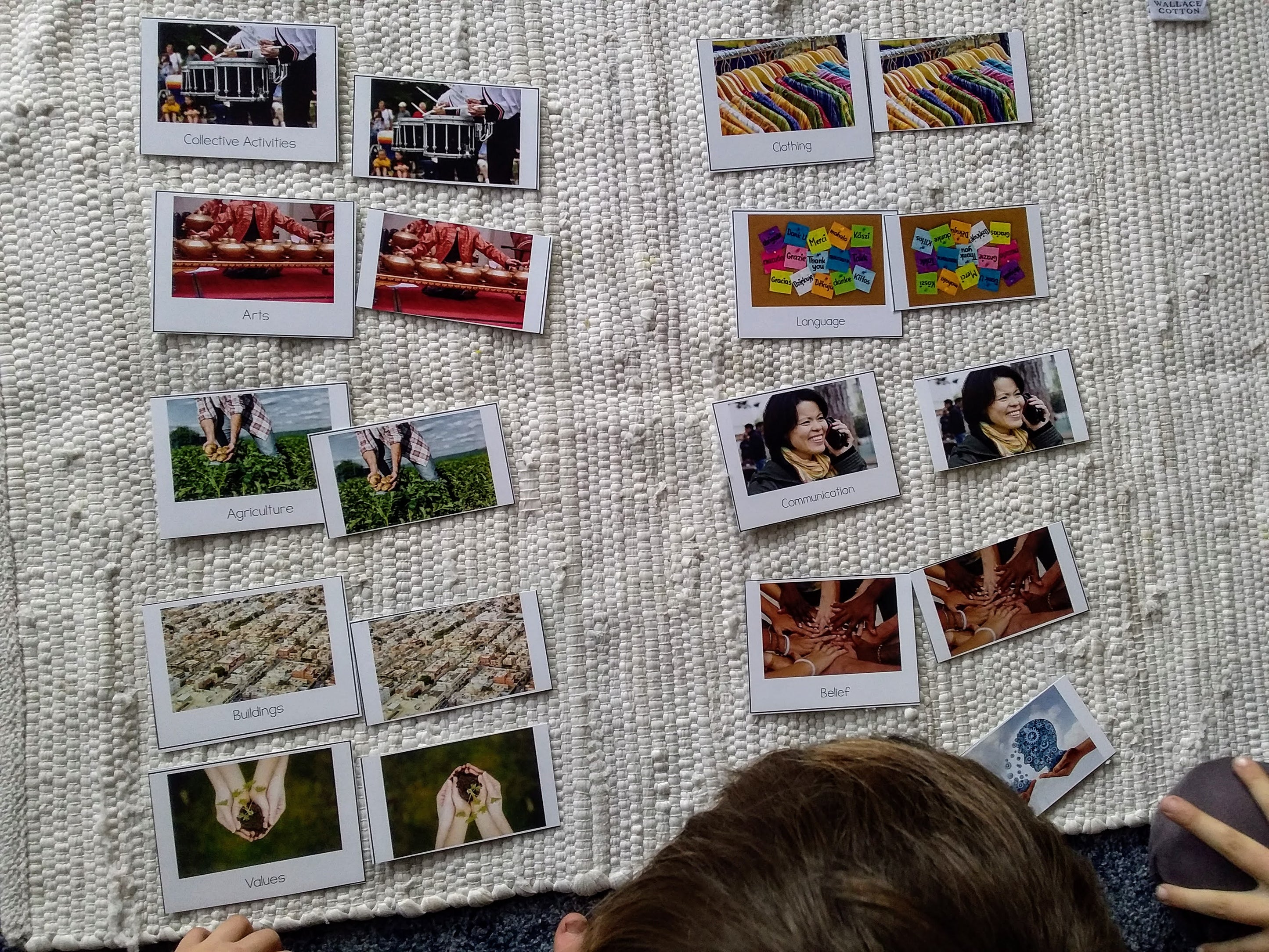 Fundamental Needs of Humans Card Set (cosmic) – montessorikiwi