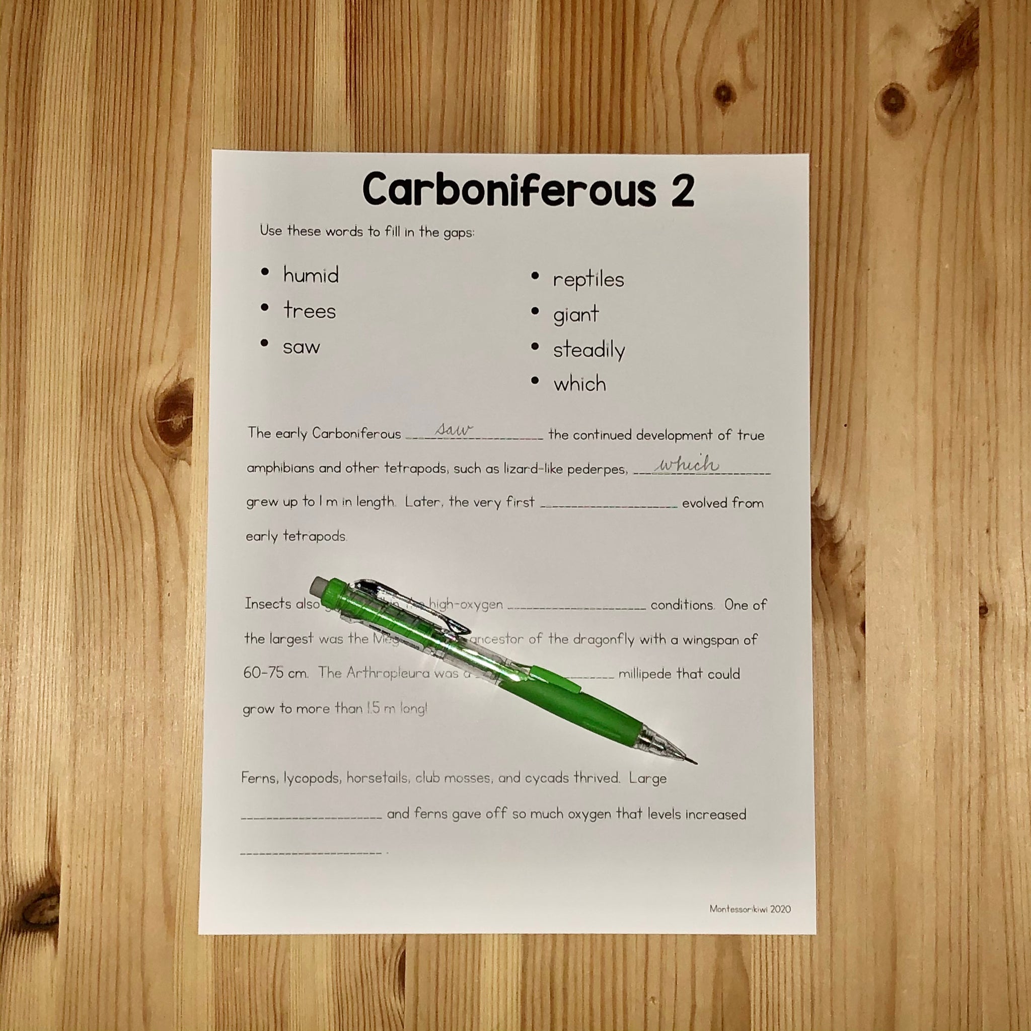 Paleozoic Cloze Resources - Montessori reading material (cosmic ...