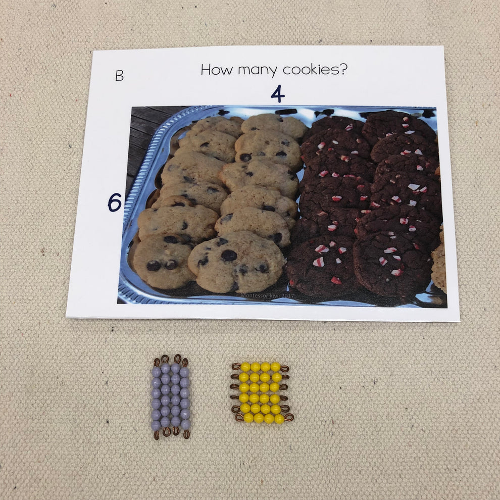 Montessori Arrays, skip counting, (colored bead bars) – montessorikiwi