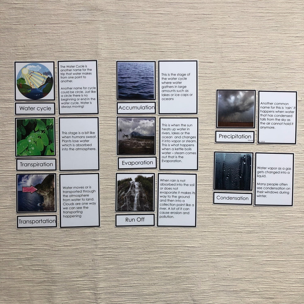 Water Cycle 4 Part Cards – montessorikiwi