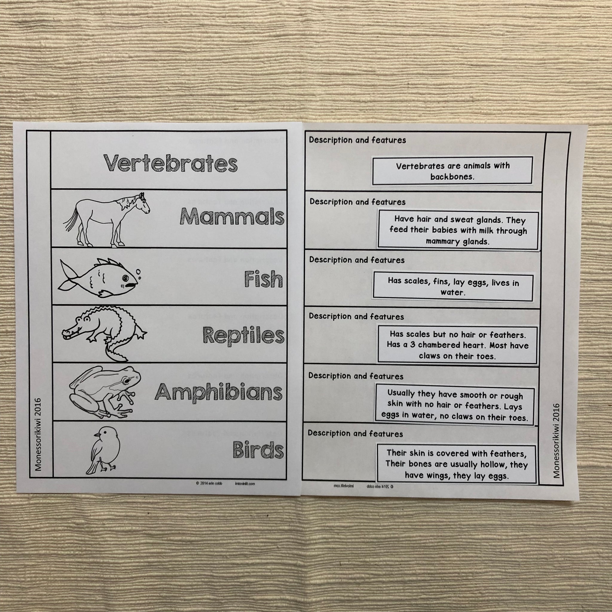 Vertebrate Book – montessorikiwi