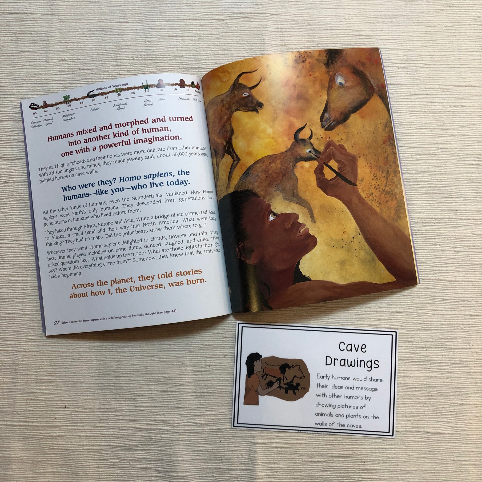 Vocab words for Third Great Story (cosmic) – montessorikiwi