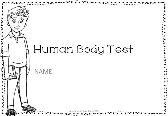 Montessori Human Body test for assessment – montessorikiwi