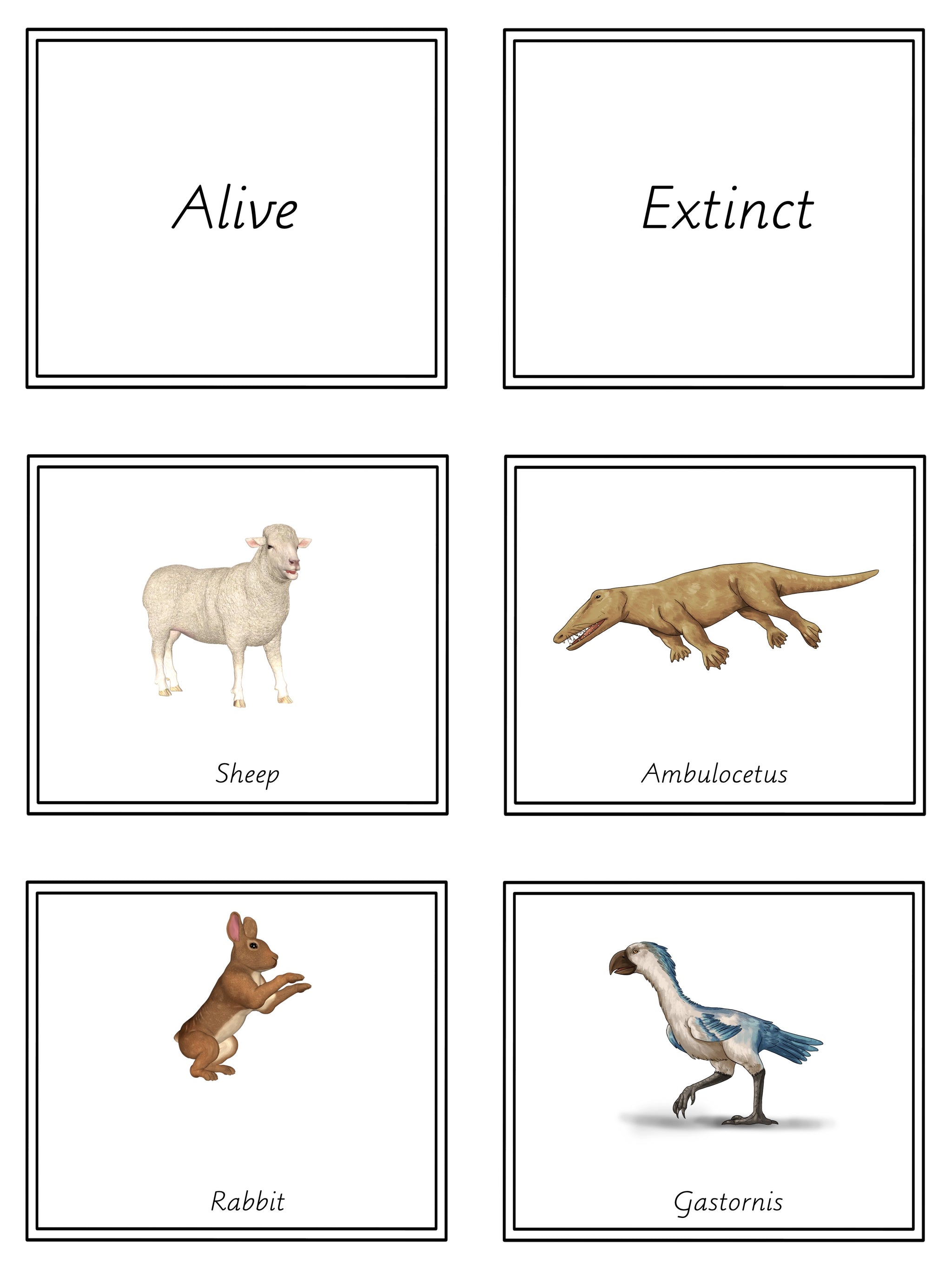 Alive or extinct? Animal sorting activity – montessorikiwi