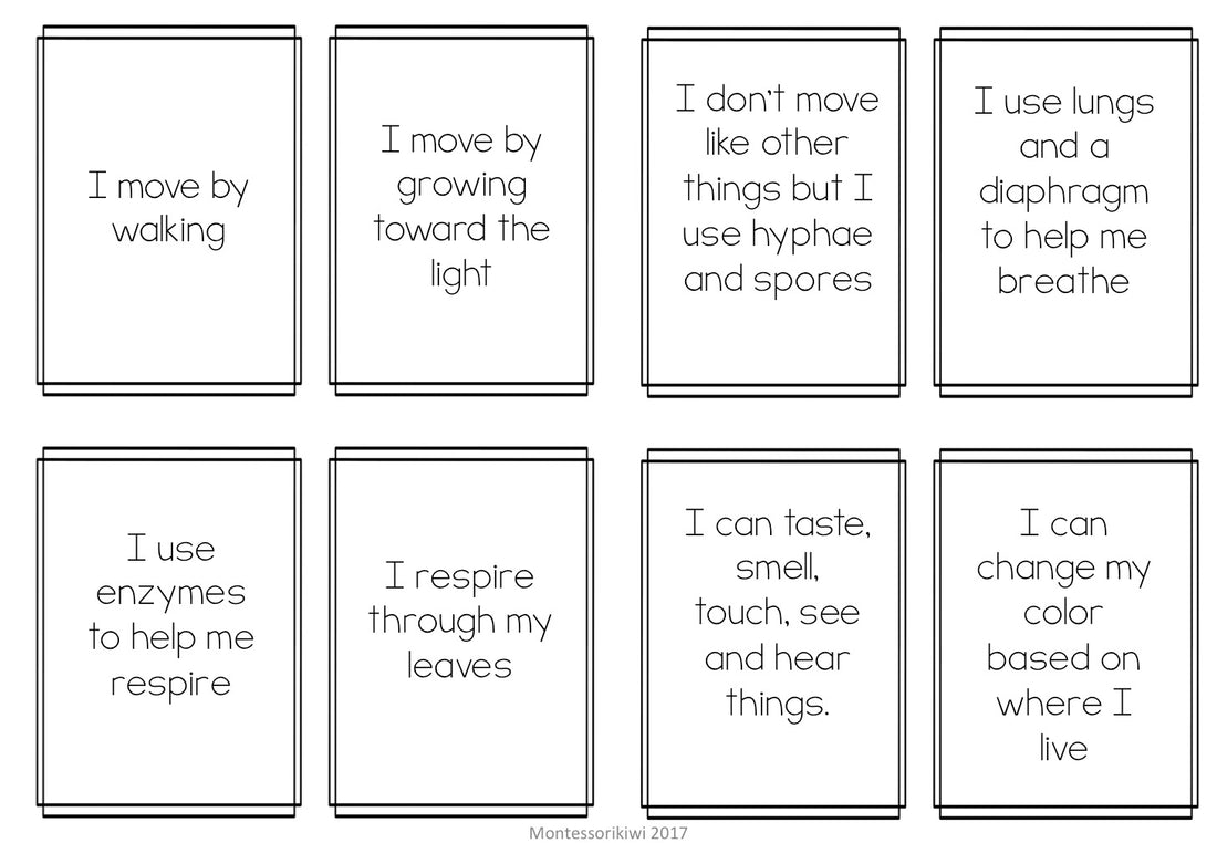 MRS GREN comparison between fungi, animal and plants – montessorikiwi