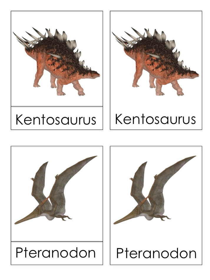 Dinosaur 3 part cards – montessorikiwi