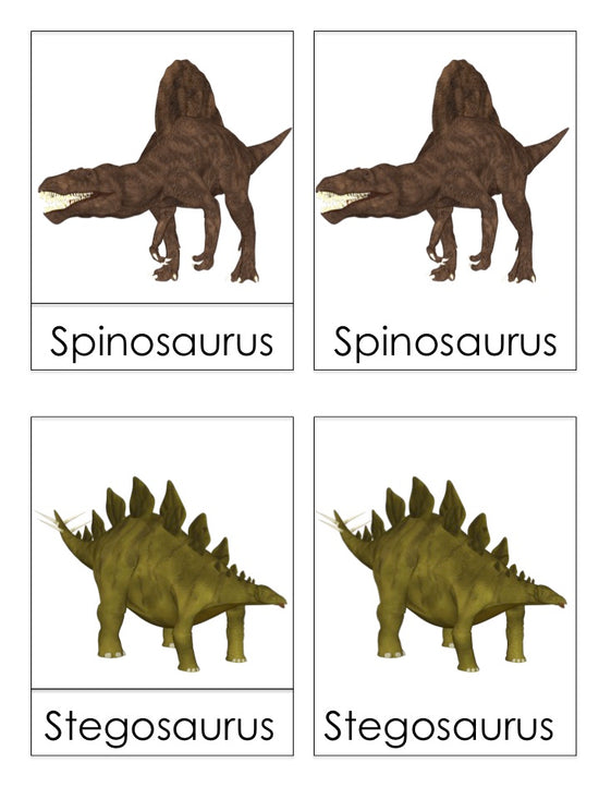 Dinosaur 3 part cards – montessorikiwi