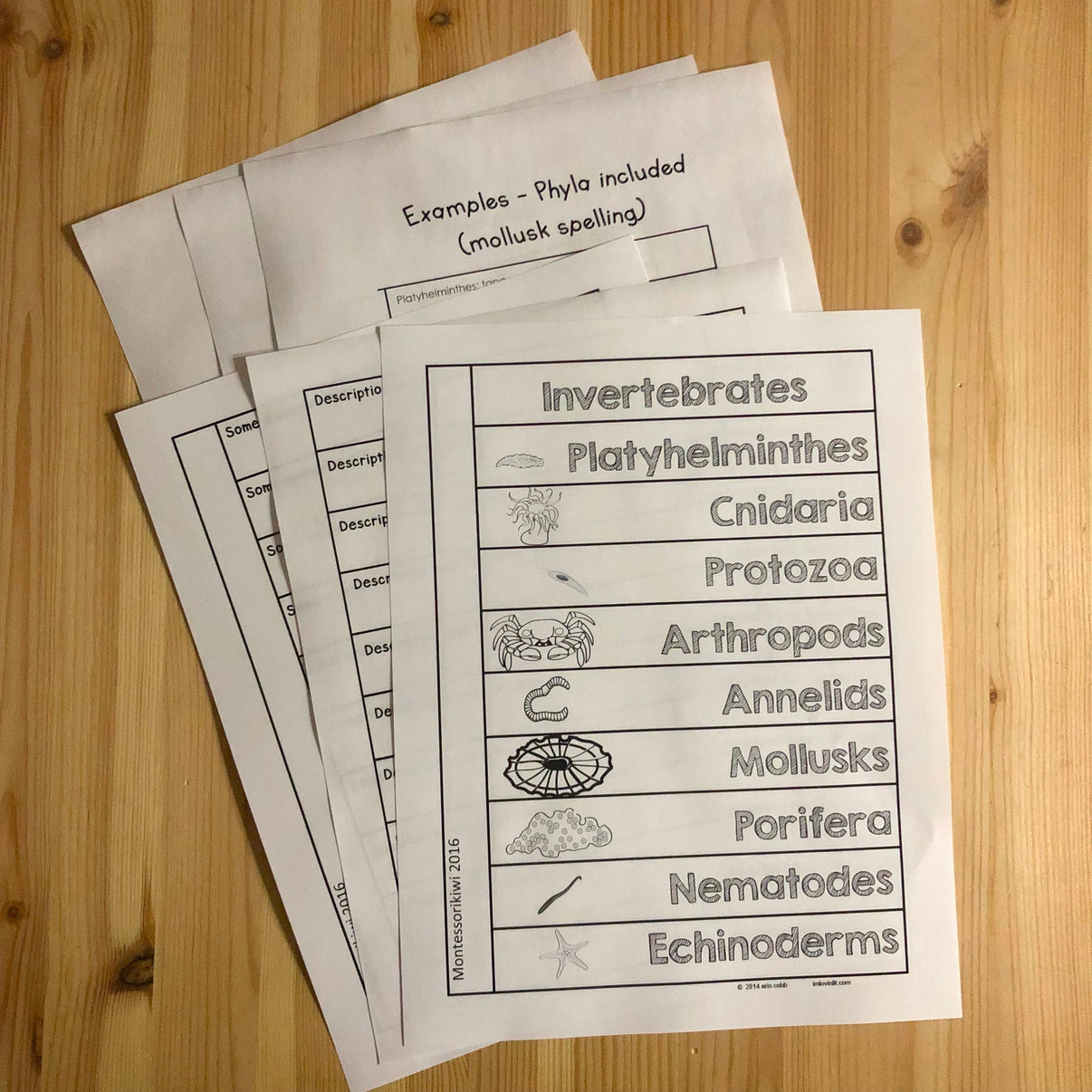 Invertebrate Book – montessorikiwi