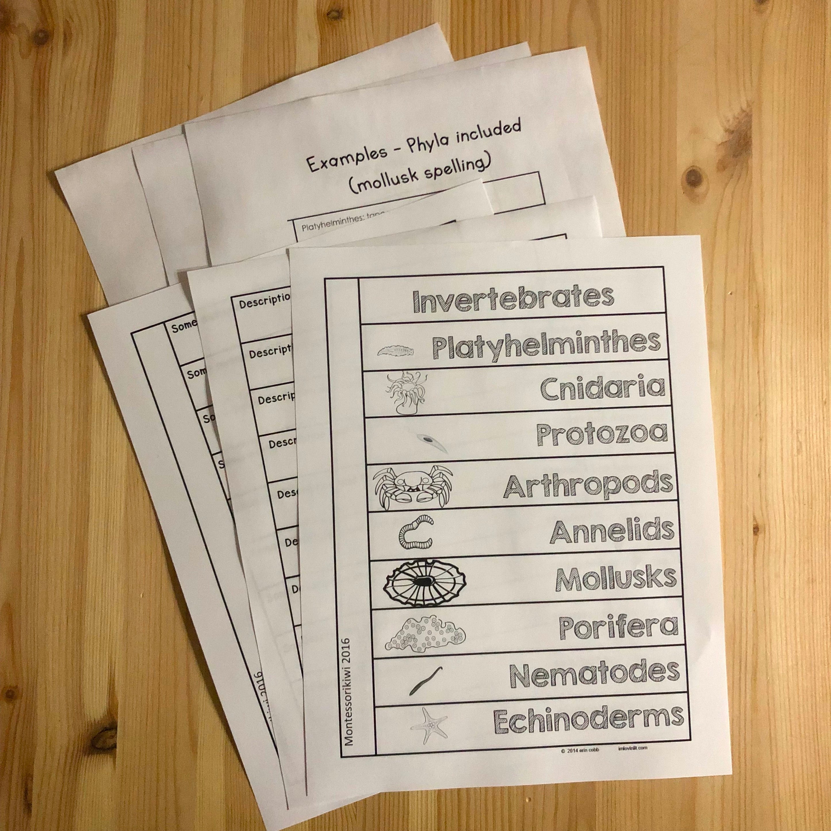 Invertebrate Book – montessorikiwi