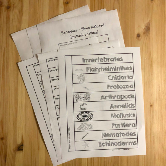 Invertebrate Book – montessorikiwi