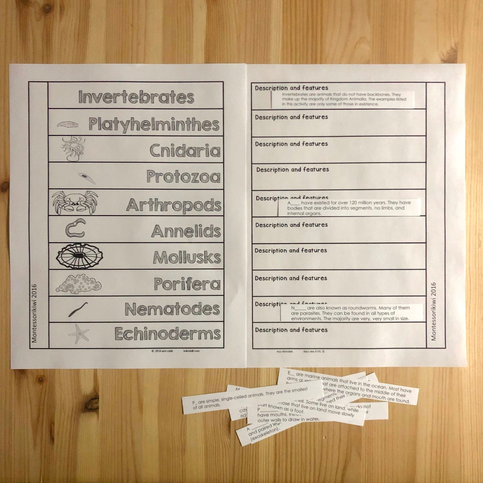 Invertebrate Book – montessorikiwi