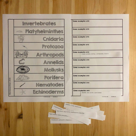 Invertebrate Book – montessorikiwi