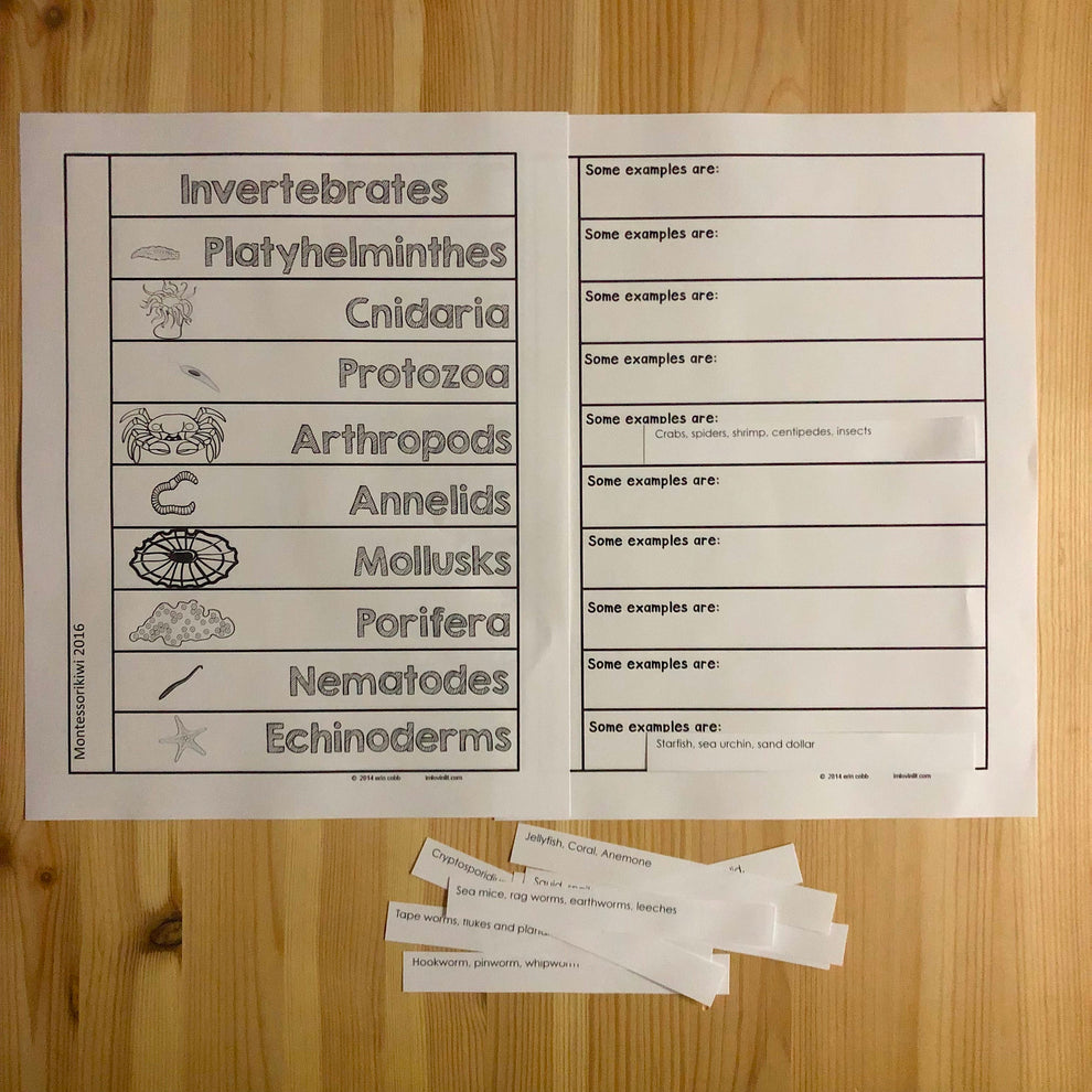 Invertebrate Book – montessorikiwi