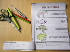 Vertebrate Book – montessorikiwi